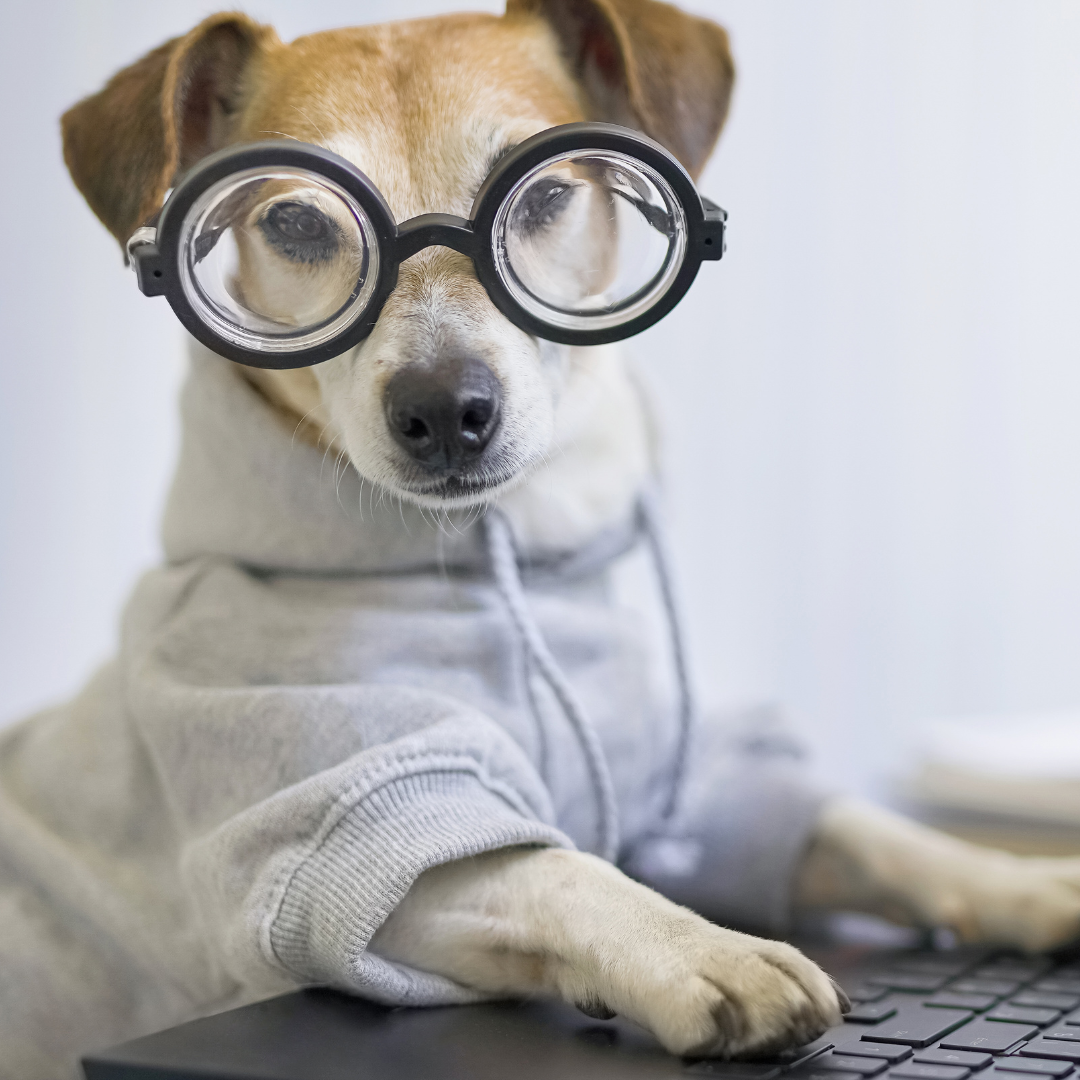 Accountants - The Important Link Between You, Your Clients And Their ...